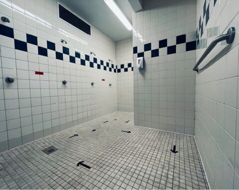 Gallery - Recreation Excellence Lethbridge